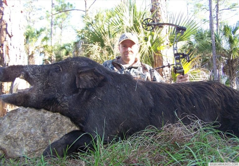 Mega Boar Hunting Outfitter – Hog Hunting Trip in Southern Florida ...
