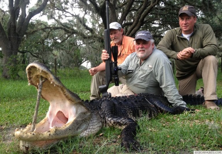 Gator Hunting in Florida, Florida Keys and Florida Swamps areas | Big ...