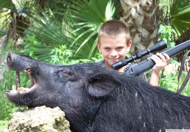 Junior Hog Hunting in Florida, Florida Keys and Florida Swamps areas ...